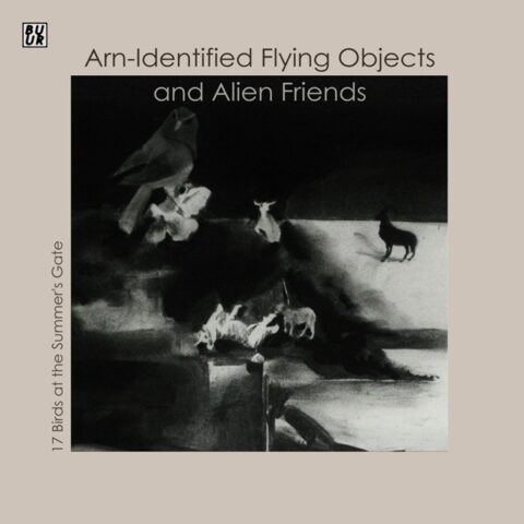 Arn-Identified Flying Objects and Alien Friends - "Summer's Gate"