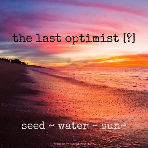 New Album: The Last Optimist - 'seed water sun' -- Obscure Sound