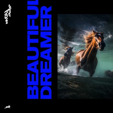 Listen: See How - "Beautiful Dreamer" -- Obscure Sound