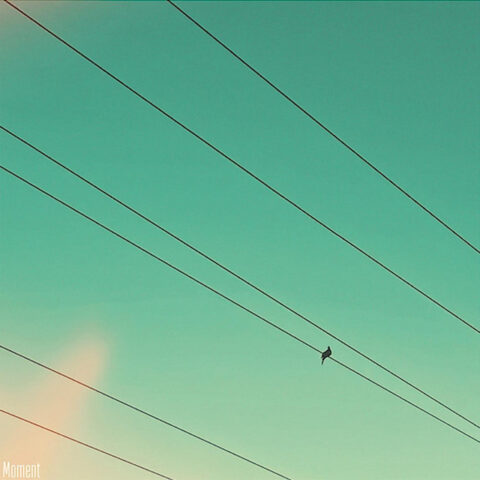 Listen: Charlie Boyle - "Moment" -- Obscure Sound