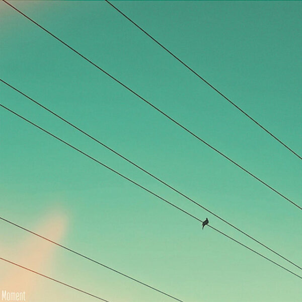 Listen: Charlie Boyle - "Moment" -- Obscure Sound