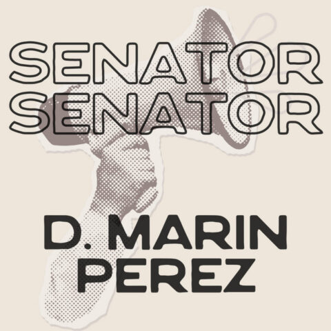 Listen: D. Marin Perez - "Senator Senator" -- Obscure Sound