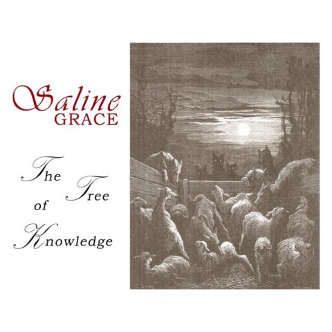 Saline Grace - 'The Tree of Knowledge' | Obscure Sound