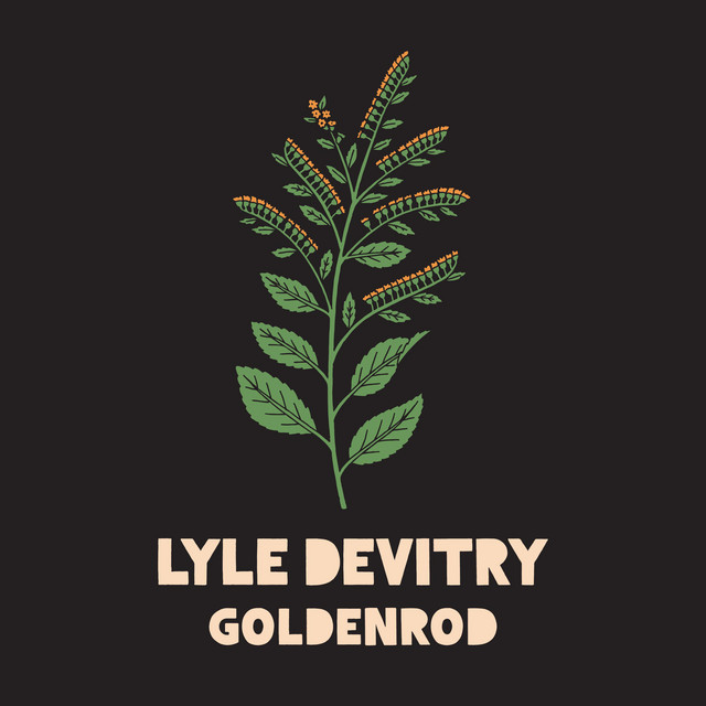 Listen: Lyle de Vitry - "Goldenrod" -- Obscure Sound