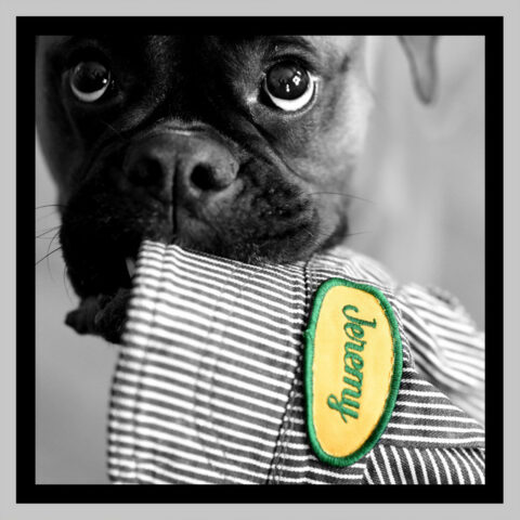 Listen: Matt Monsoor - "Jeremy" -- Obscure Sound