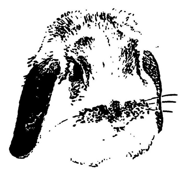 Listen: Ted Bunny - "Little Orange Time Machine" -- Obscure Sound
