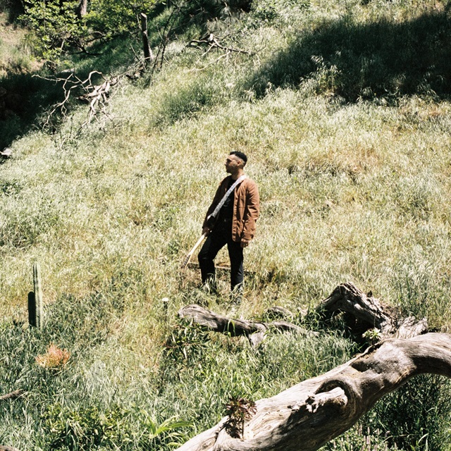 Listen: Animals Over People - "LOST!" (w/ King Leon)