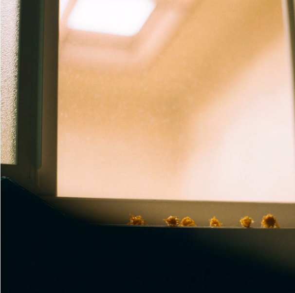 Listen: Somber Western - "You Hide It Well" -- Obscure Sound